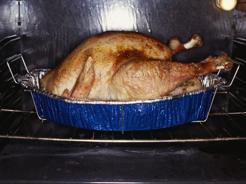 Beginner's Guide to the Perfect Holiday Turkey